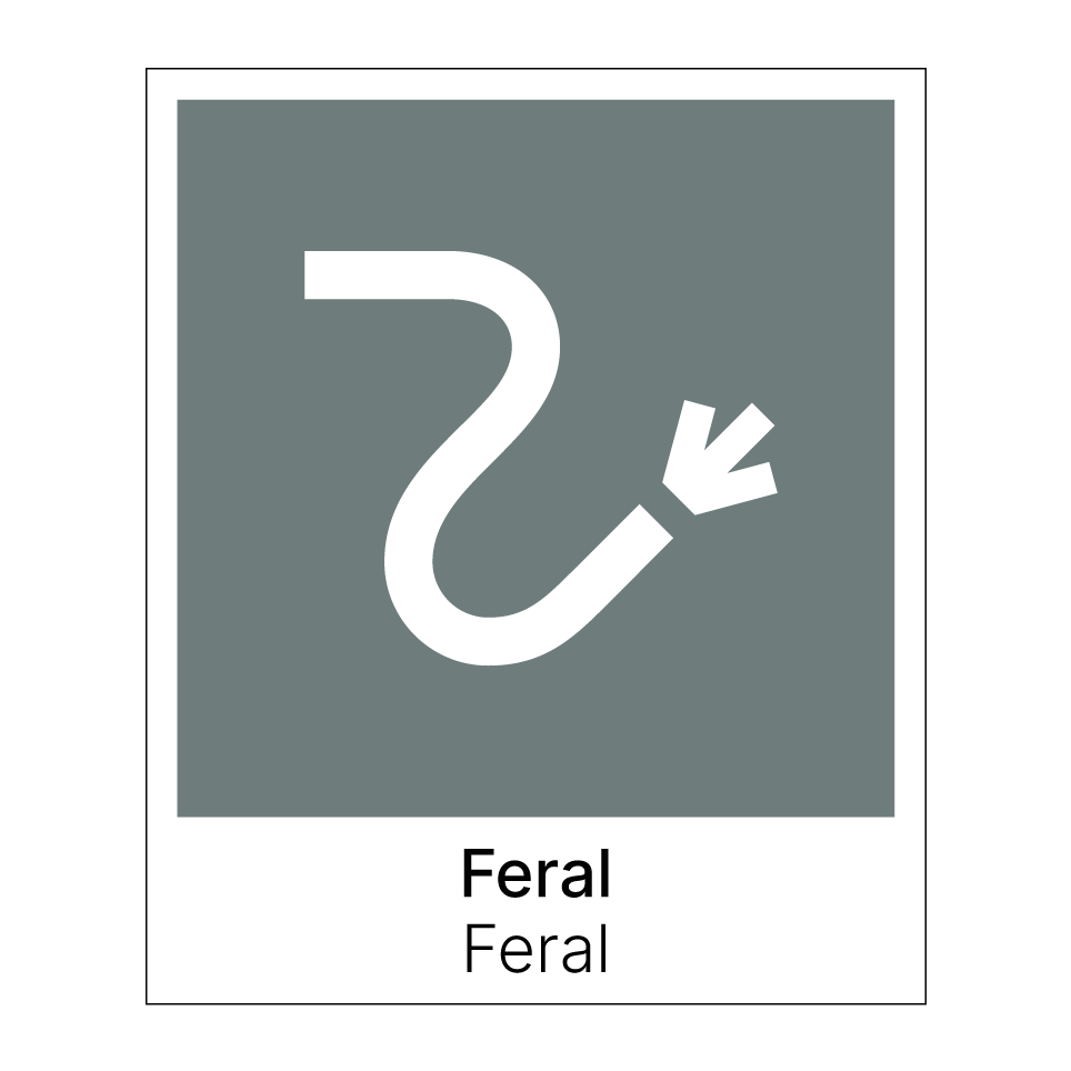 Feral - Feral skilt | Kjøp Online | SignOnline